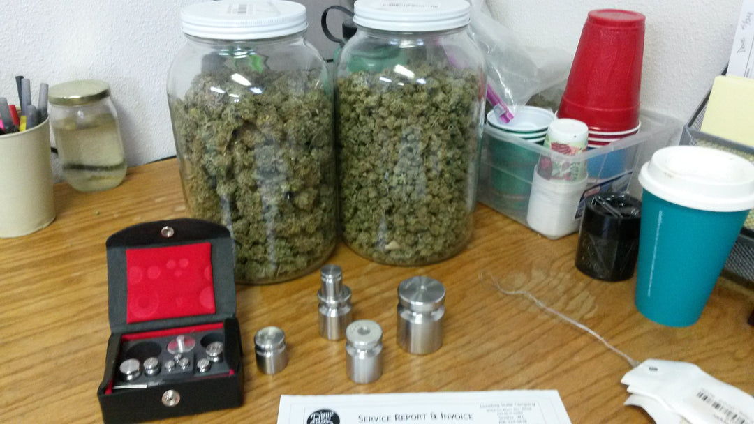 Digital Balance Services. Scales, Traceability, and POS for Cannabis – DBS